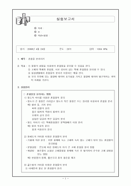 과학실험보고서 (5.혼합물 분리하기)-1페이지