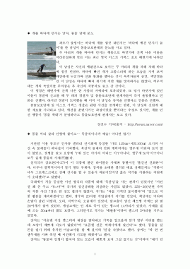 동물학대 사례-1페이지