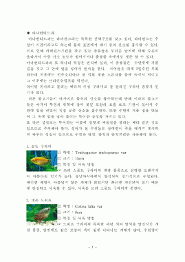 관상어류 고찰-1페이지