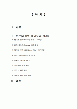 세계의 대기오염 사례-1페이지