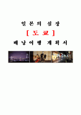 도쿄 여행계획서-1페이지