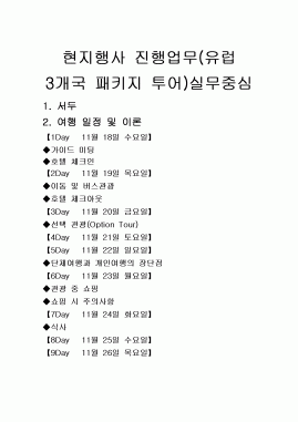 현지행사 진행업무(유럽 3개국 패키지 투어)실무중심-1페이지