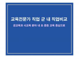 교육전문가 직업 군 내 직업비교(공교육과 사교육 분야 내 초·중등 교육 중심으로)-1페이지