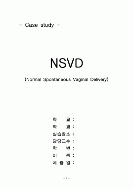 자연분만(NSVD) 케이스 -1페이지