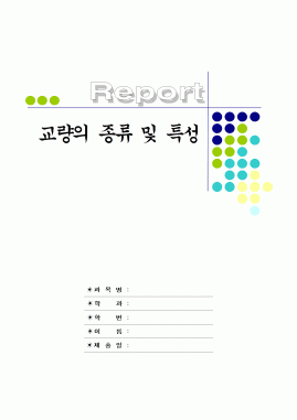 교량의 종류 및 특성-1페이지