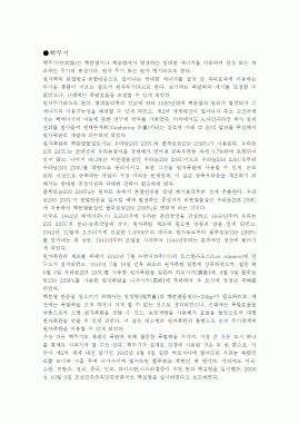 핵무와 북한핵위협에 관한 고찰-1페이지