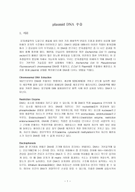 생물] plasmid DNA 추출 보고서-1페이지