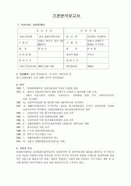 기관분석보고서,기관보고서,기관소개서,사회복지기관분석보고서-1페이지