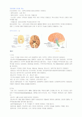 성인신경계사전학습내용-1페이지