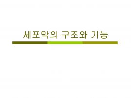 세포막의 구조와 기능-1페이지