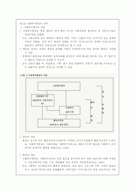 사회복지행정의 개념정리-미리보기 확인요^^-1페이지