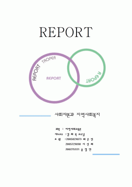 [지역 사회 교육론]사회자본과 지역사회복지에 관한 내용,분석 과제-1페이지