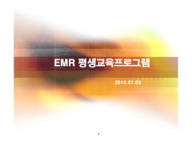 [평생교육론]EMR 평생교육프로그램 개발 -정신지체아동들을 위한 평생교육과정개발--1페이지