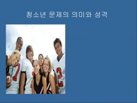 [청소년교육개론]청소년 문제의 의미와 성격,위험행동에 대한 조사와 대안책-1페이지