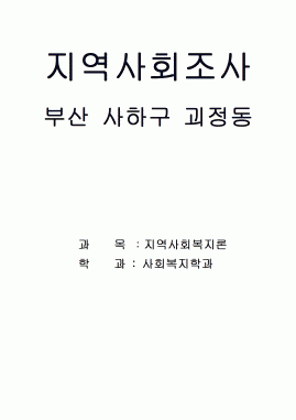 [지역사회복지론]부산 사하구 괴정동 지역조사-1페이지