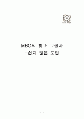 MBO의 빛과 그림자-쉽지 않은 도입-1페이지