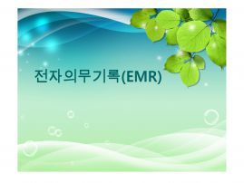 전자의무기록(EMR)-1페이지