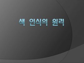 색인식의 원리-1페이지