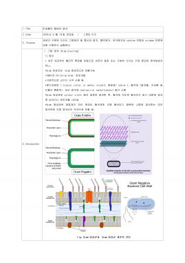 미생물의 형태와 염색-1페이지