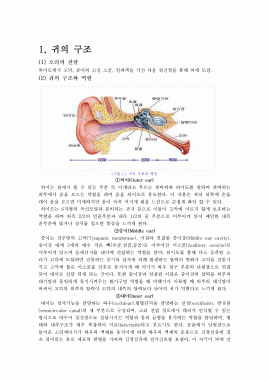 청각 특성과 마스킹 효과의 분석-1페이지