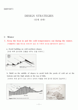 DESIGN STRATEGIES(설계전략)-1페이지