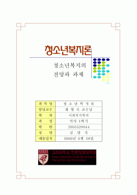 청소년복지의 전망과 과제 청소년복지 전망 사회복지 과제-1페이지