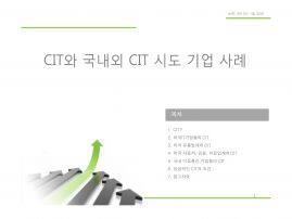 [IT컨버전스] CIT의 정의와 국내외 CIT 사례-1페이지