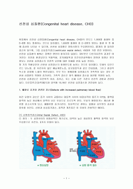 선천성 심장질환-1페이지