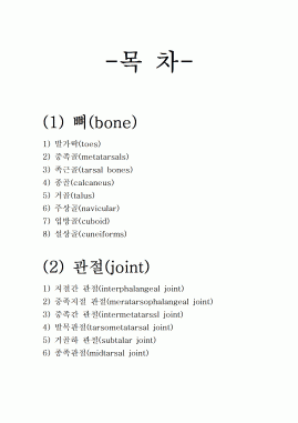 족관절레포트-1페이지