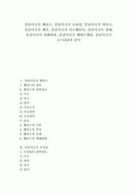 [라틴아메리카]중남미국가 벨리즈, 중남미국가 브라질, 중남미국가 멕시코, 중남미국가 페루, 중남미국가 아르헨티나, 중남미국가 칠레, 중남미국가 과테말라, 중남미국가 베네수엘라, 중남미국가 코스타리카 분석-1페이지