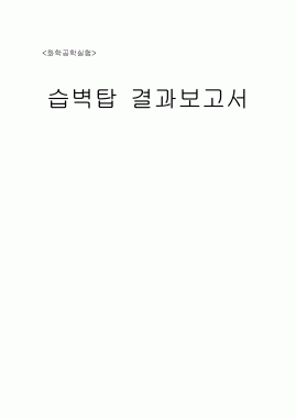 습벽탑 실험 결과보고서-1페이지