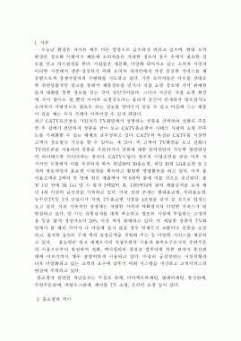 홈쇼핑 산업의 문제점과 발전방향-1페이지