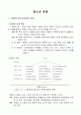 [분석/조사] 청소년문화 -1페이지