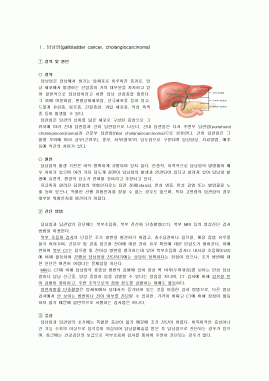 담낭암 문헌 고찰-1페이지