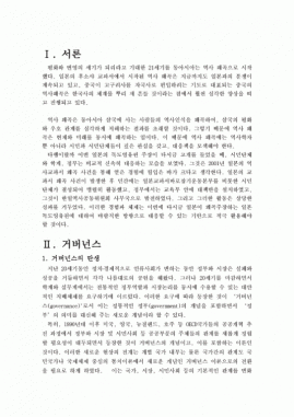 2008년 2학기 국제행정론 중간시험과제물 공통(거버넌스와 독도영유권)-1페이지