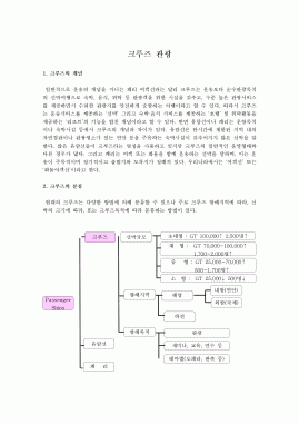 [사회과학] 크루즈 관광-1페이지