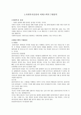 사회복지개론 - 사회복지제도-1페이지