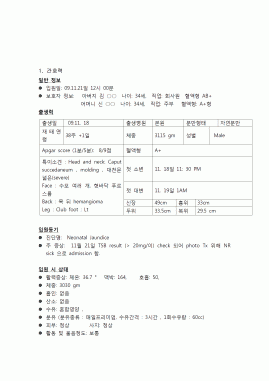 아동간호과정 -신생아황달-1페이지