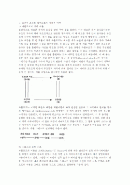 광고 정보처리 과정 중 고전적 조건화 모델을 적용할 수 있는 사례를 들고 이에 대한 효과를 설명하시오-1페이지