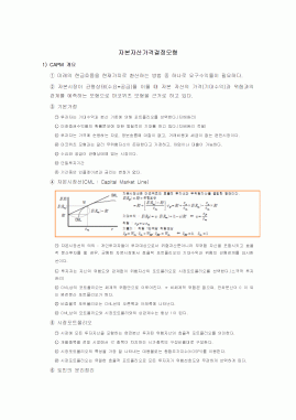 자본자산가격결정모형-1페이지