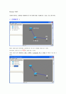 Netsim(넷심) : 가상의 망을 구성해 볼 수 있는 프로그램-1페이지