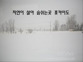 일본지역연구 훗카이도-1페이지