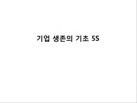 기업 생존의 기초 5S-1페이지