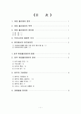 호주 워킹홀리데이의 정의, 목적, 장단점, 체결국가에 대한 견해 -1페이지