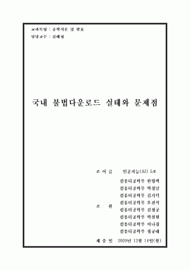 국내 불법다운로드 실태와 문제점-1페이지