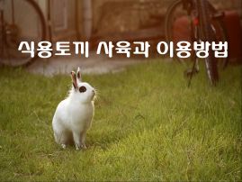 식용토끼 요점정리-1페이지