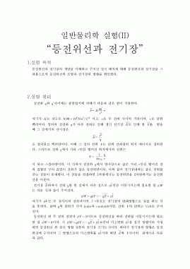 일반물리실험 - 등전위선과 전기장 결과보고서-1페이지