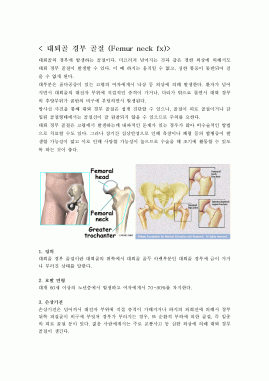 대퇴골 경부 골절-1페이지