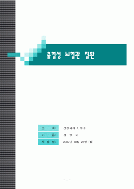 출혈성 뇌혈관 질환-1페이지