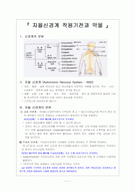 자율신경계와 응급약물-1페이지